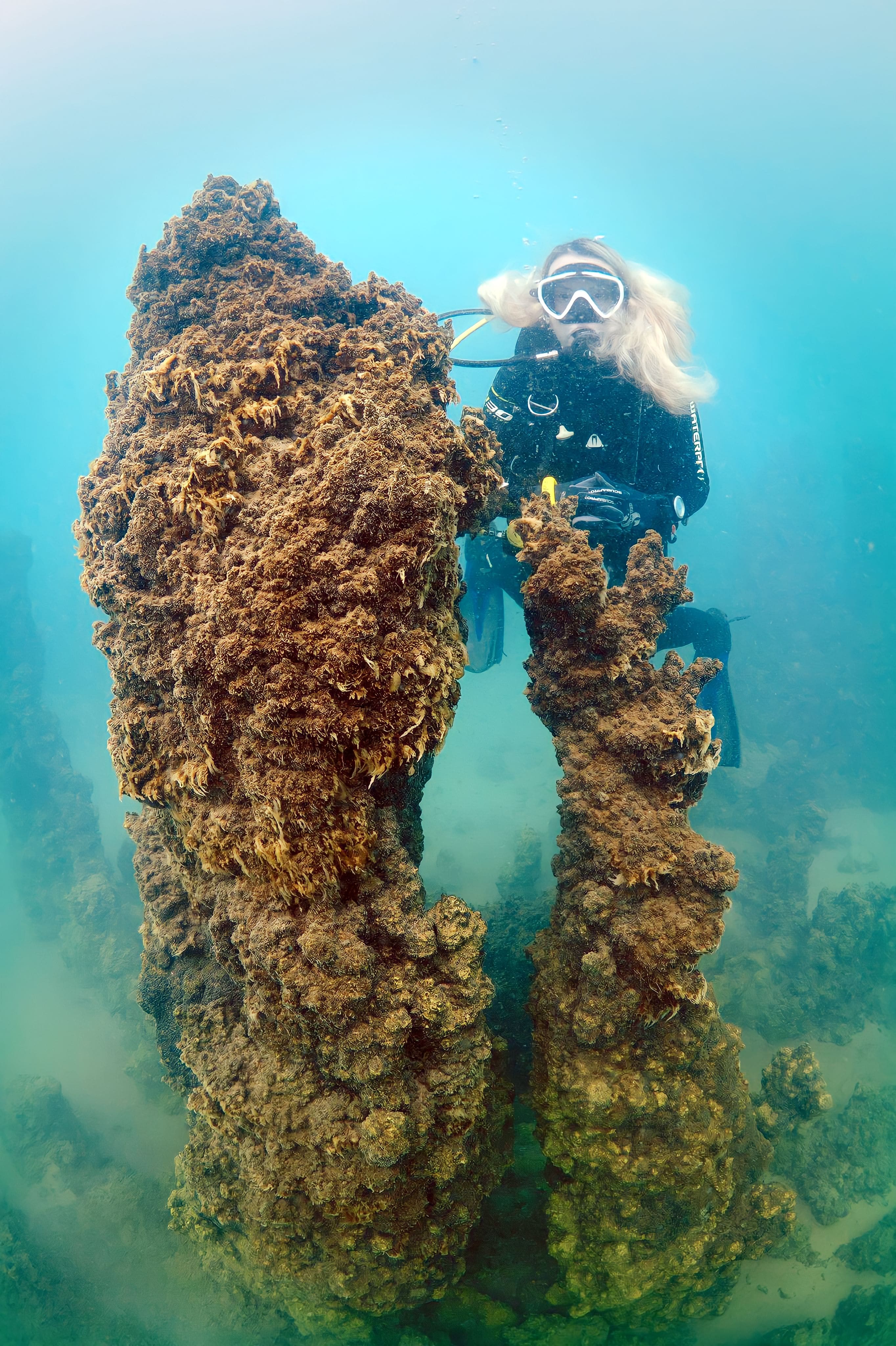 SU ALTI PERİ BACALARI: MİKROBİYALİTLER - e-gzt ADÜ