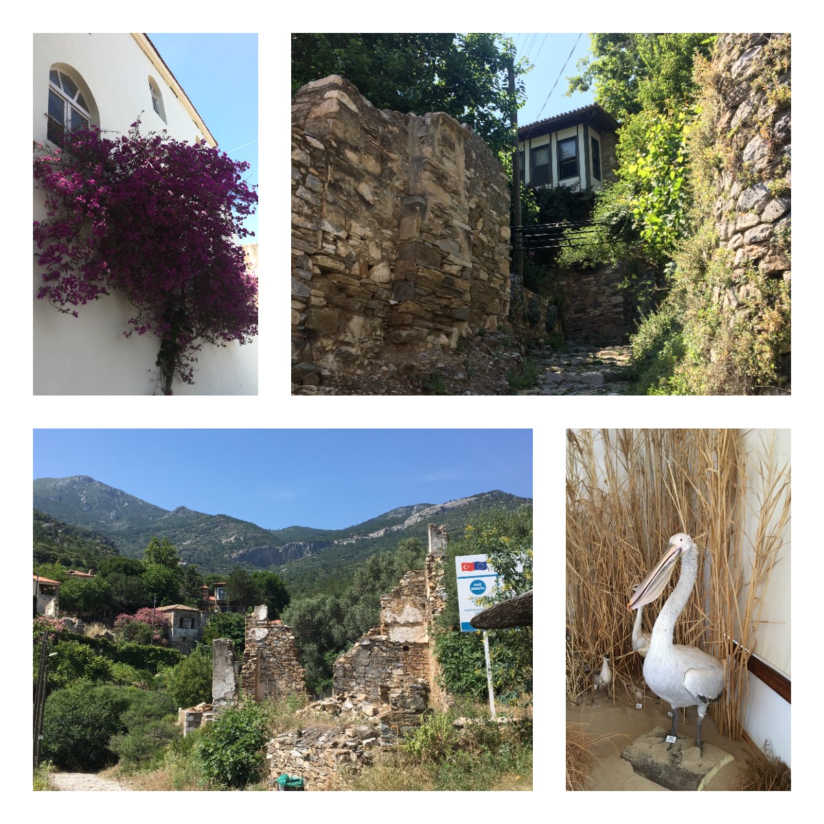 DOMATİA - e-gzt ADÜ